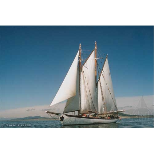 Segel-Markt - gebrauchte Segelboote Yacht 2-Mast Schoner